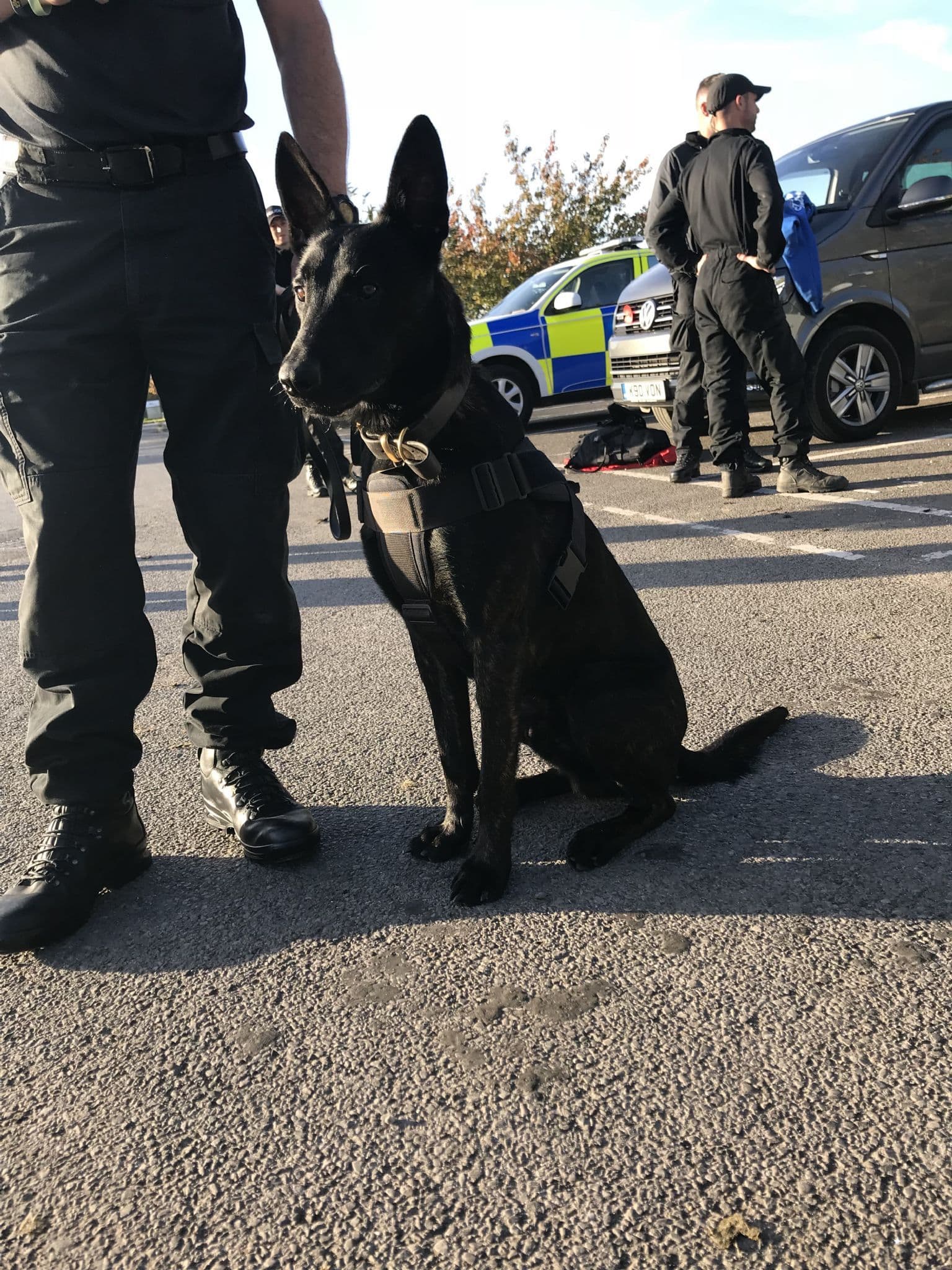 Vonwolf K9 Shark Harness