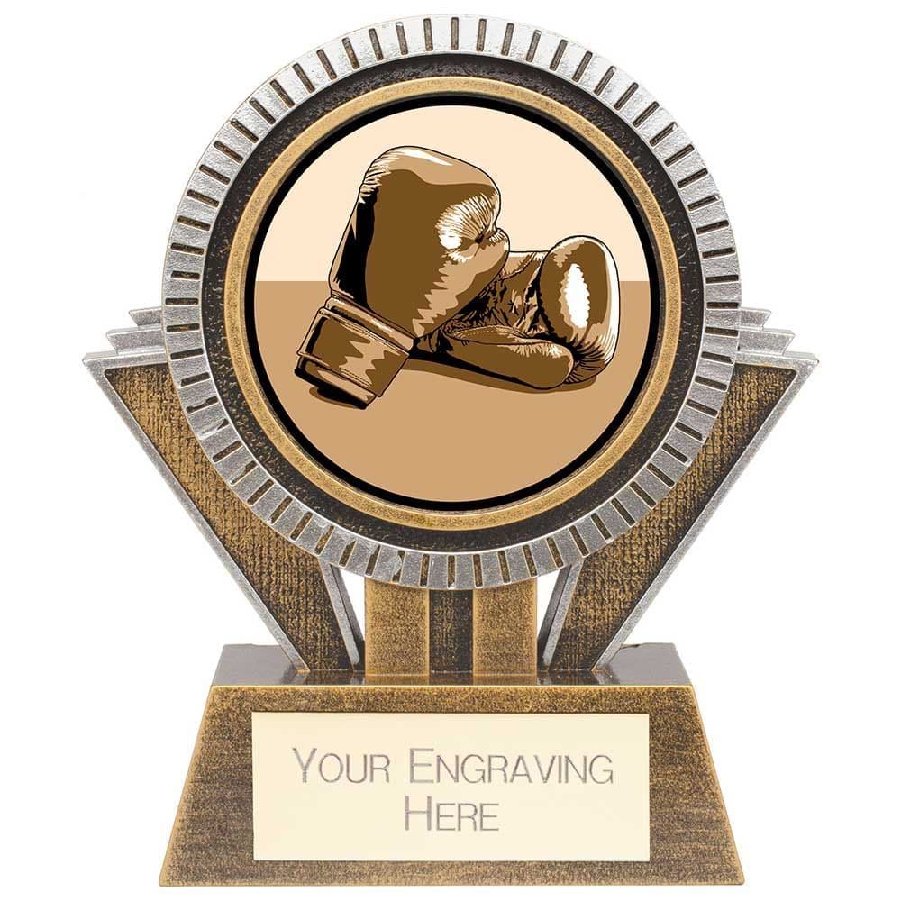Apex Boxing Award Gold & Silver