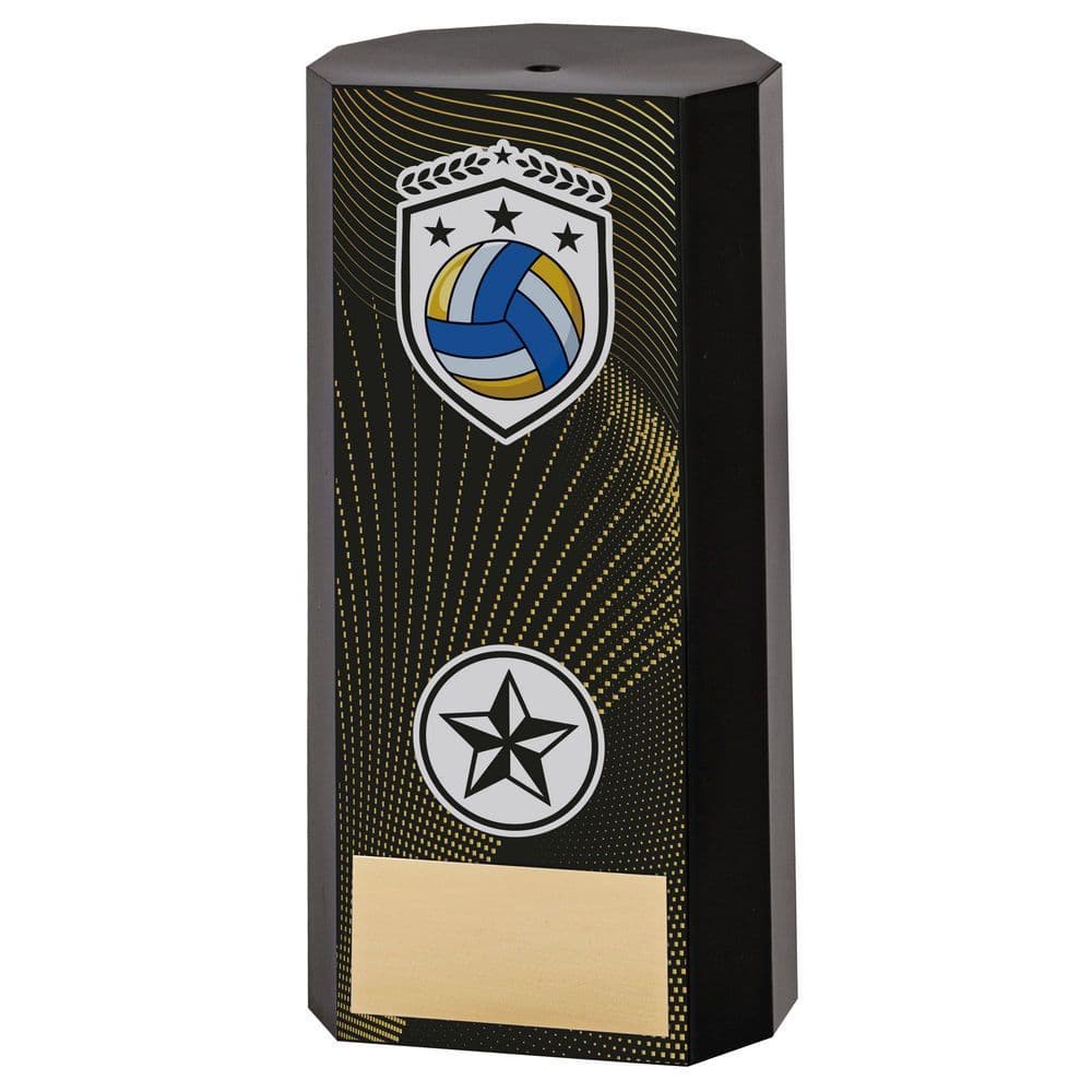 Black Heavyweight Fortress Netball Award