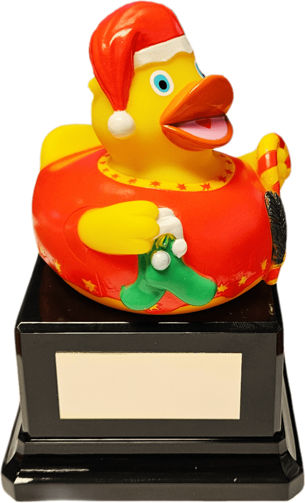 Christmas Stocking Duck Award 135mm | TrophyMaster UK