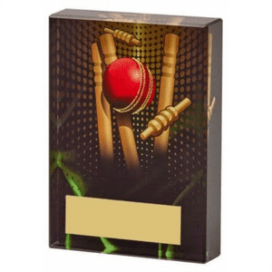 Cricket Trophies & Medals | Trophy Engraving | TrophyMaster