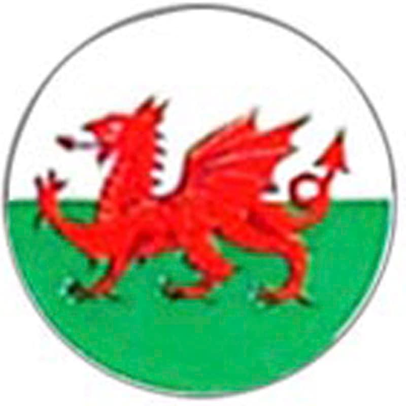 Flag Welsh Dragon domed acrylic centre 5pcs | TrophyMaster UK