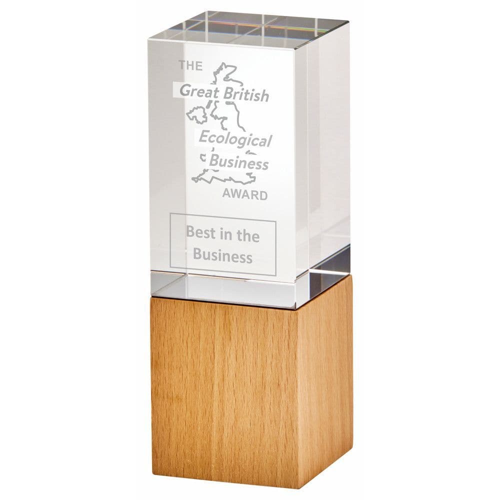 Foundation Crystal Block Award 60mm thickness