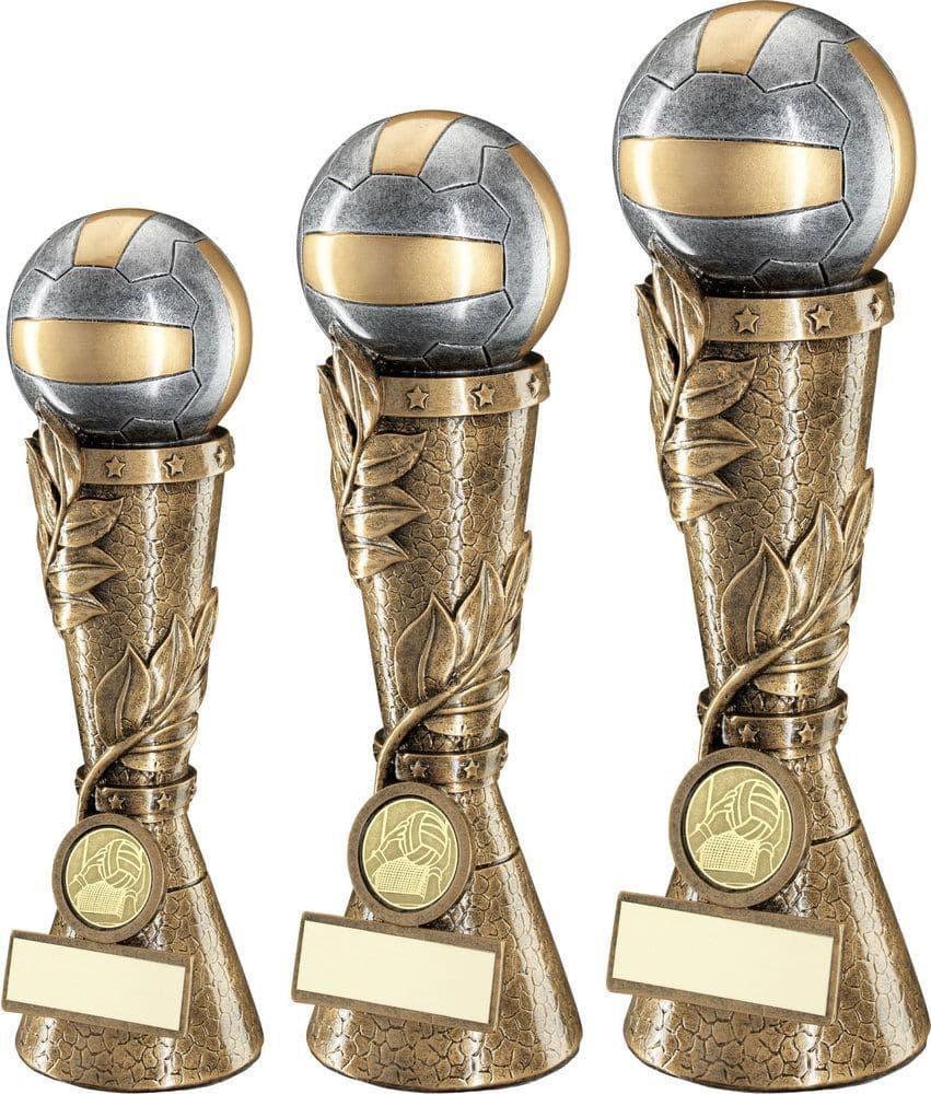Gaelic Football Leaf Column Award
