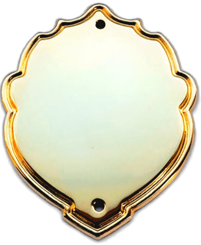 Silver Record Shield with Engraving | TrophyMaster UK