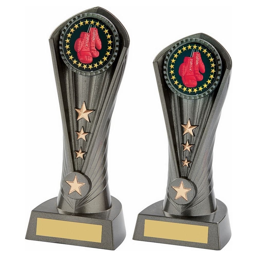 Gun Metal Silver Cobra Boxing Award