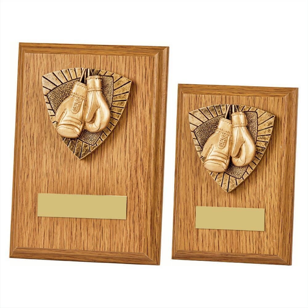 Light Oak Boxing Plaque Award