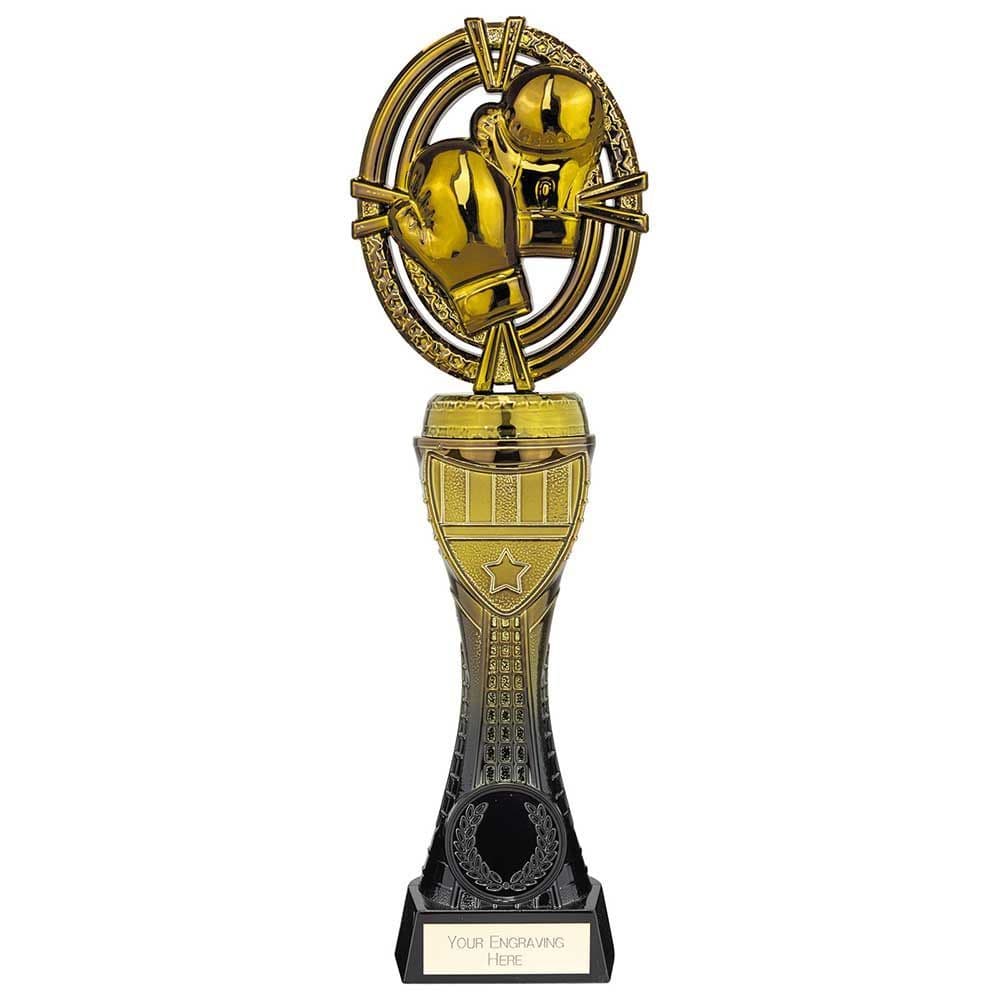Maverick Boxing Award