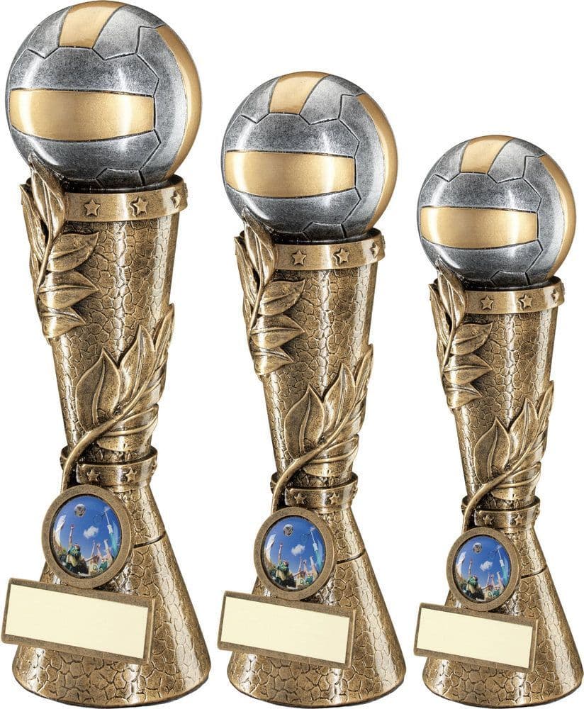 Netball Leaf Column Award