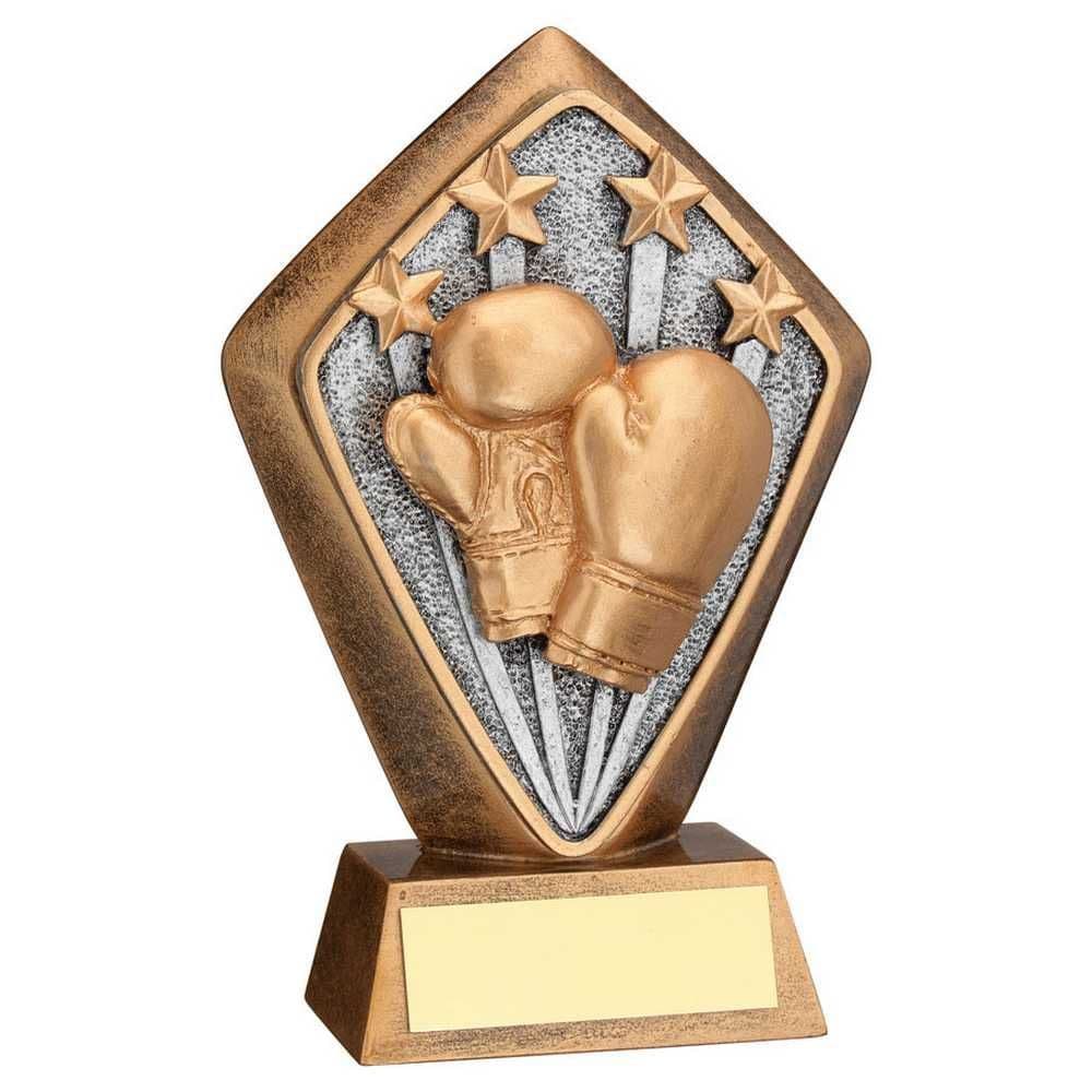Paragon Boxing Award 133mm