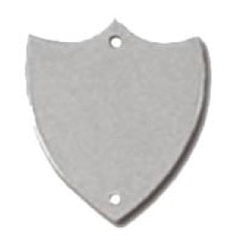 Record Shield with Engraving | TrophyMaster UK