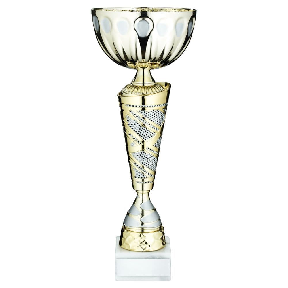 Silver/Gold Textured Trophy Cup