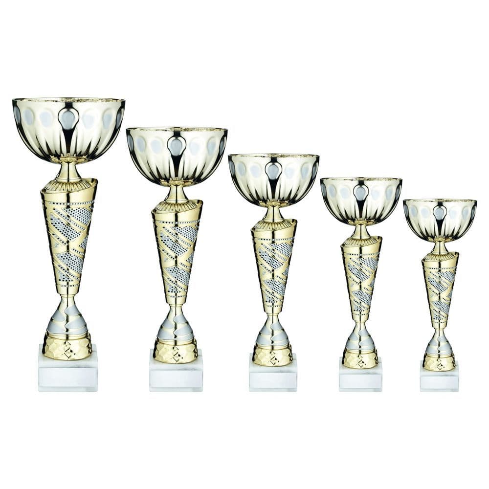 Silver/Gold Textured Trophy Cup