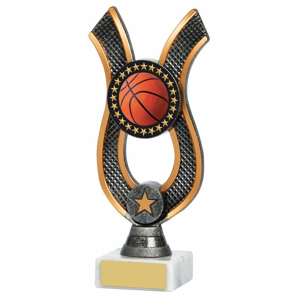 Silver Ribbon Basketball Award