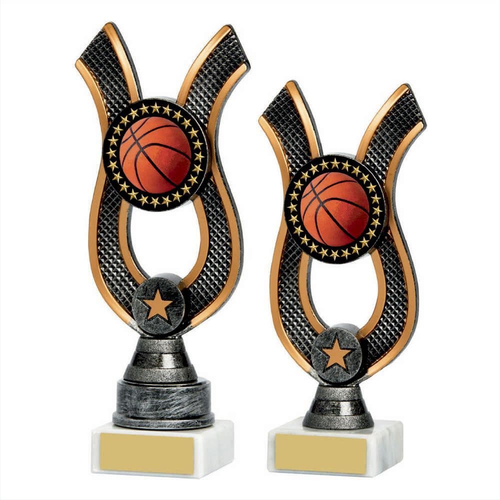 Silver Ribbon Basketball Award