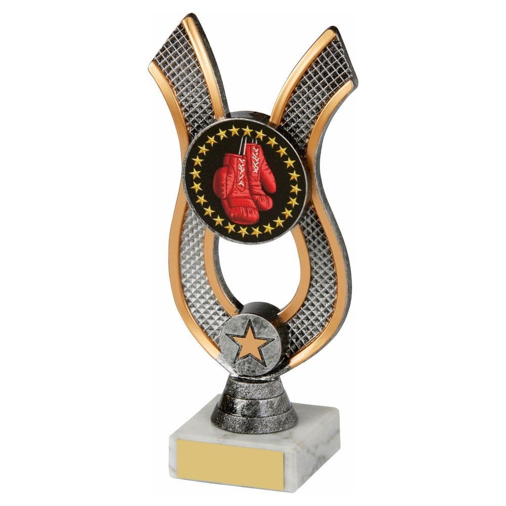 Silver Ribbon Boxing Award