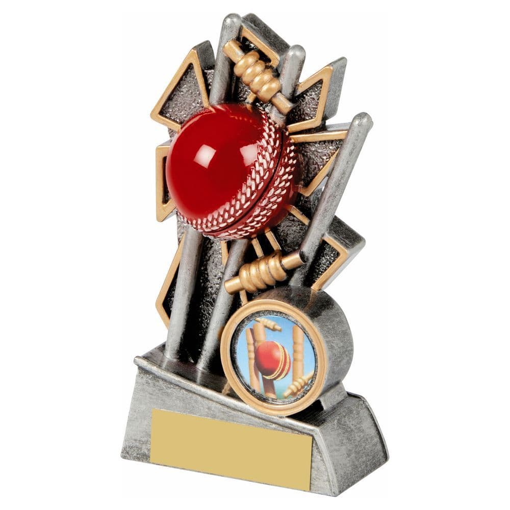 Silver Wicket and Cricket Ball Award