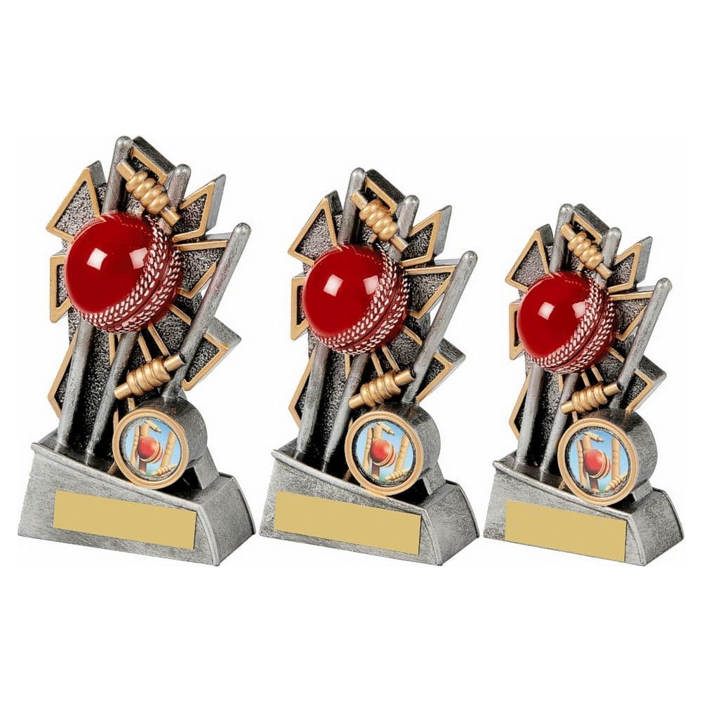 Silver Wicket and Cricket Ball Award