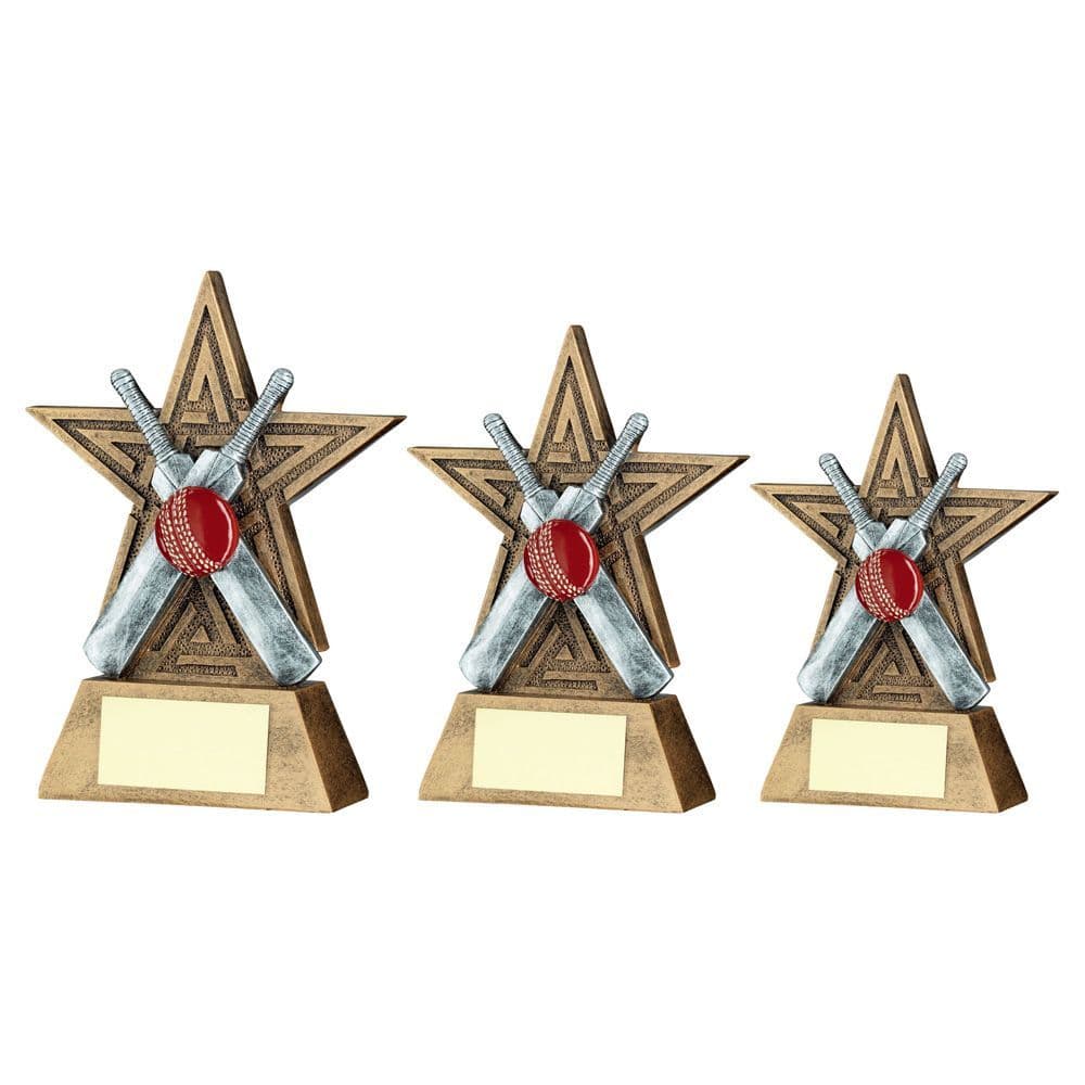 Starline Series Cricket Bat & Ball Trophy