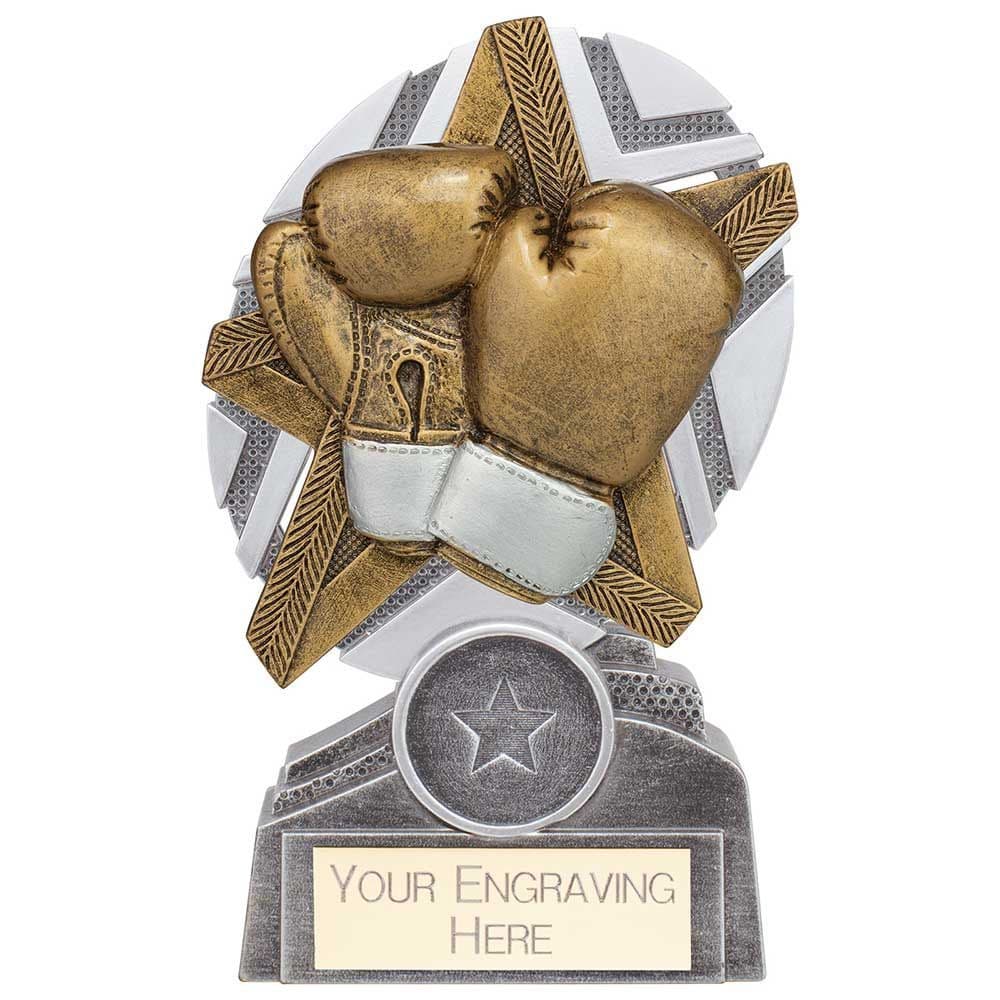 The Stars Boxing Plaque Award