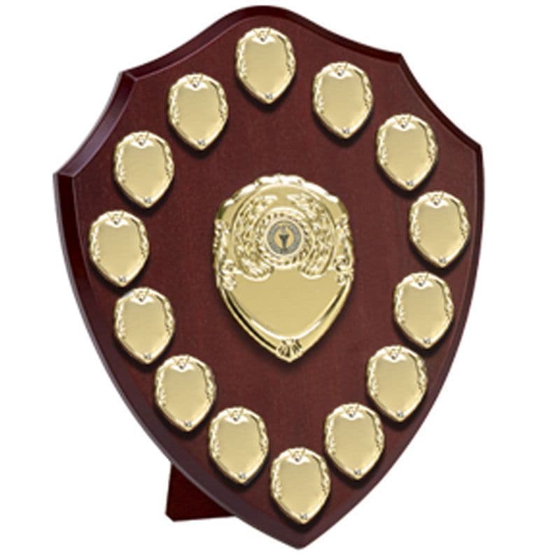 Triumph Multi Presentation Gold Shield 254mm (10") 10 Record Shields ...