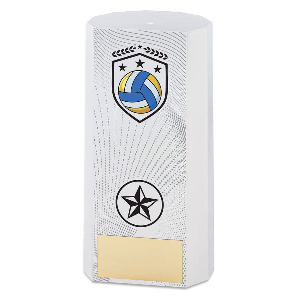 White Heavyweight Fortress Netball Award