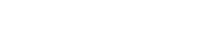 Radio Controlled Toys & Models | Western Valley Models