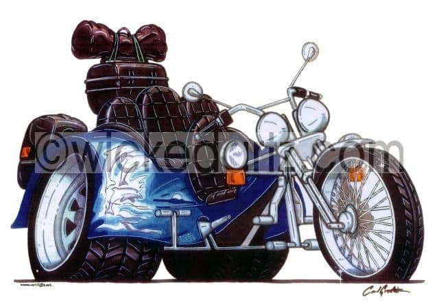 Custom Trike Items from 9 50