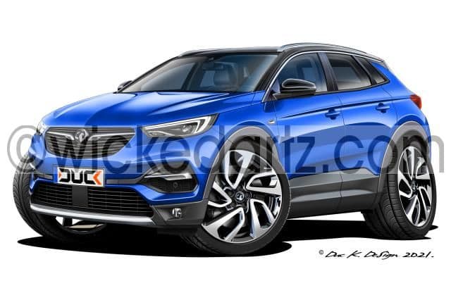 Vauxhall Grandland X SUV Blue DK Items from 9 50