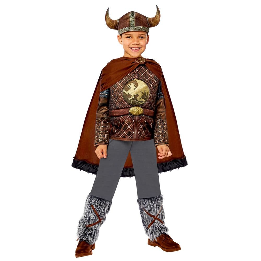 Boys Viking King Deluxe Costume