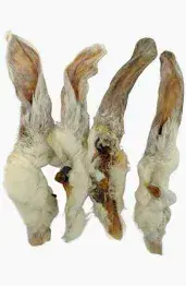 Rabbit Ears with Fur