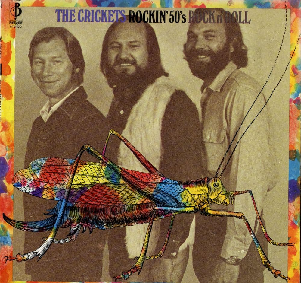 Crickets The - Rockin 50 s Rock n Roll Z 30268 USA