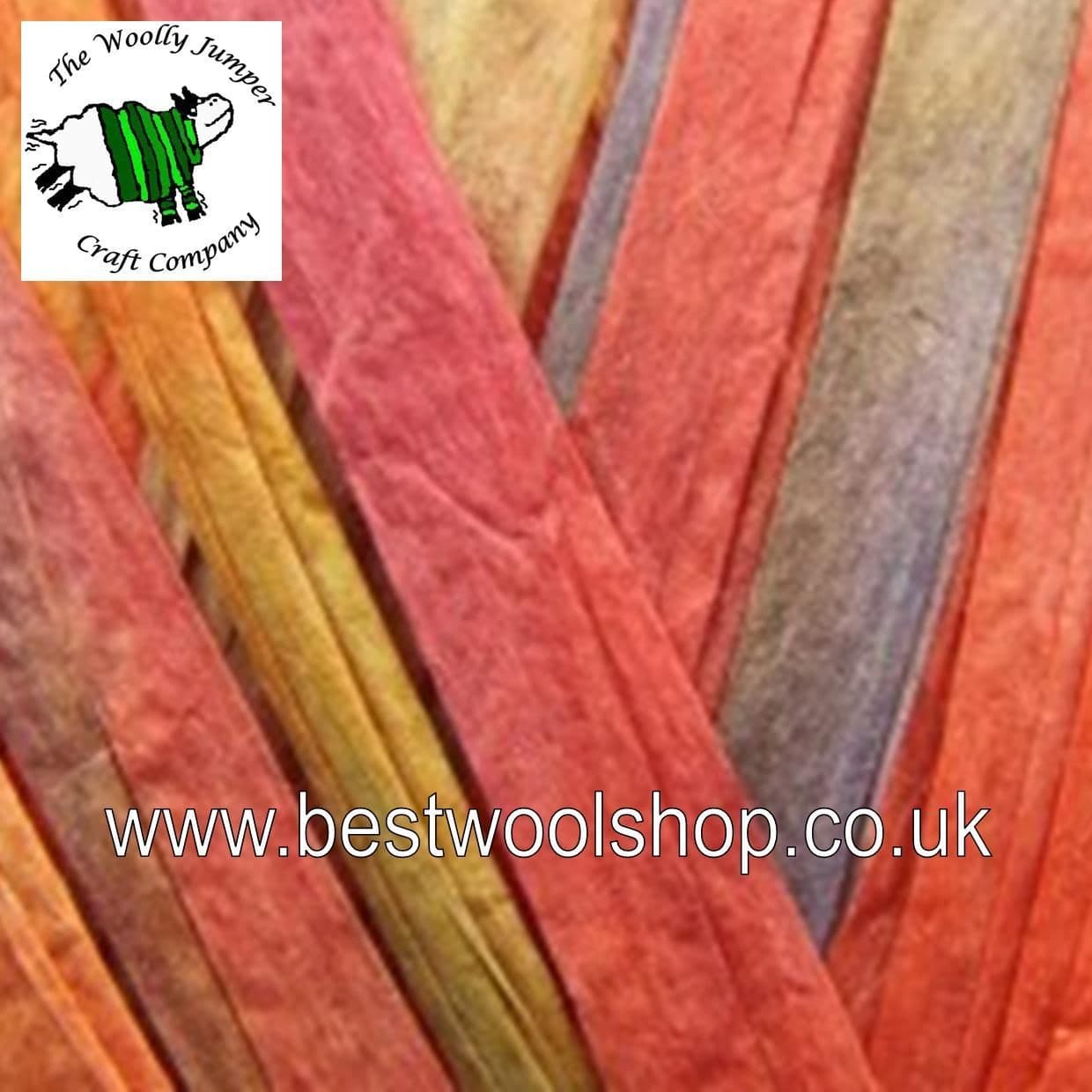 1457 - CAROUSEL - KING COLE RAFFIA CHUNKY CRAFT KNITTING & CROCHET TAPE ...