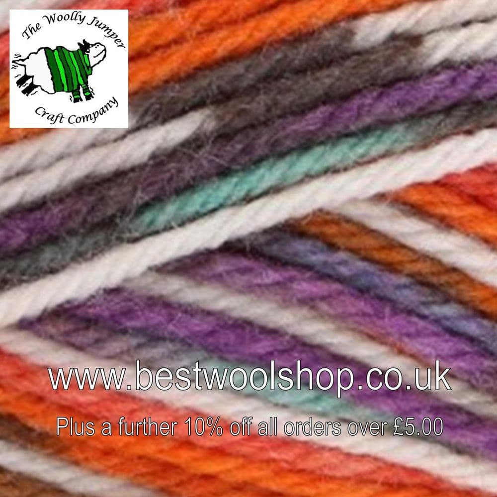 207 - FERGUS - SIRDAR SNUGGLY BABY CROFTER DK KNITTING YARN
